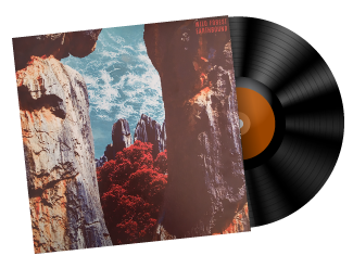 Wild Forest – Earthbound – Studio 8844